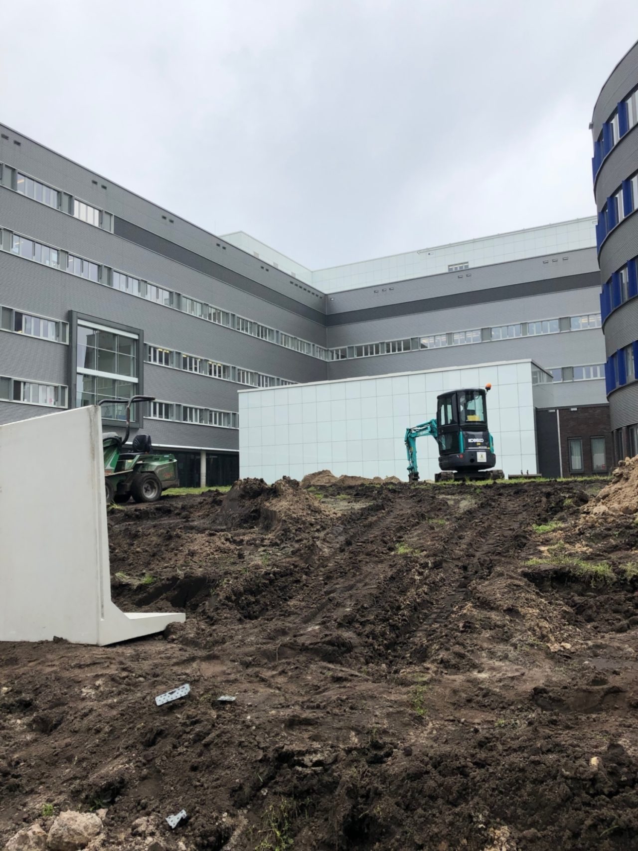 Farwick Groenspecialisten | Renovatie binnentuin MST Enschede